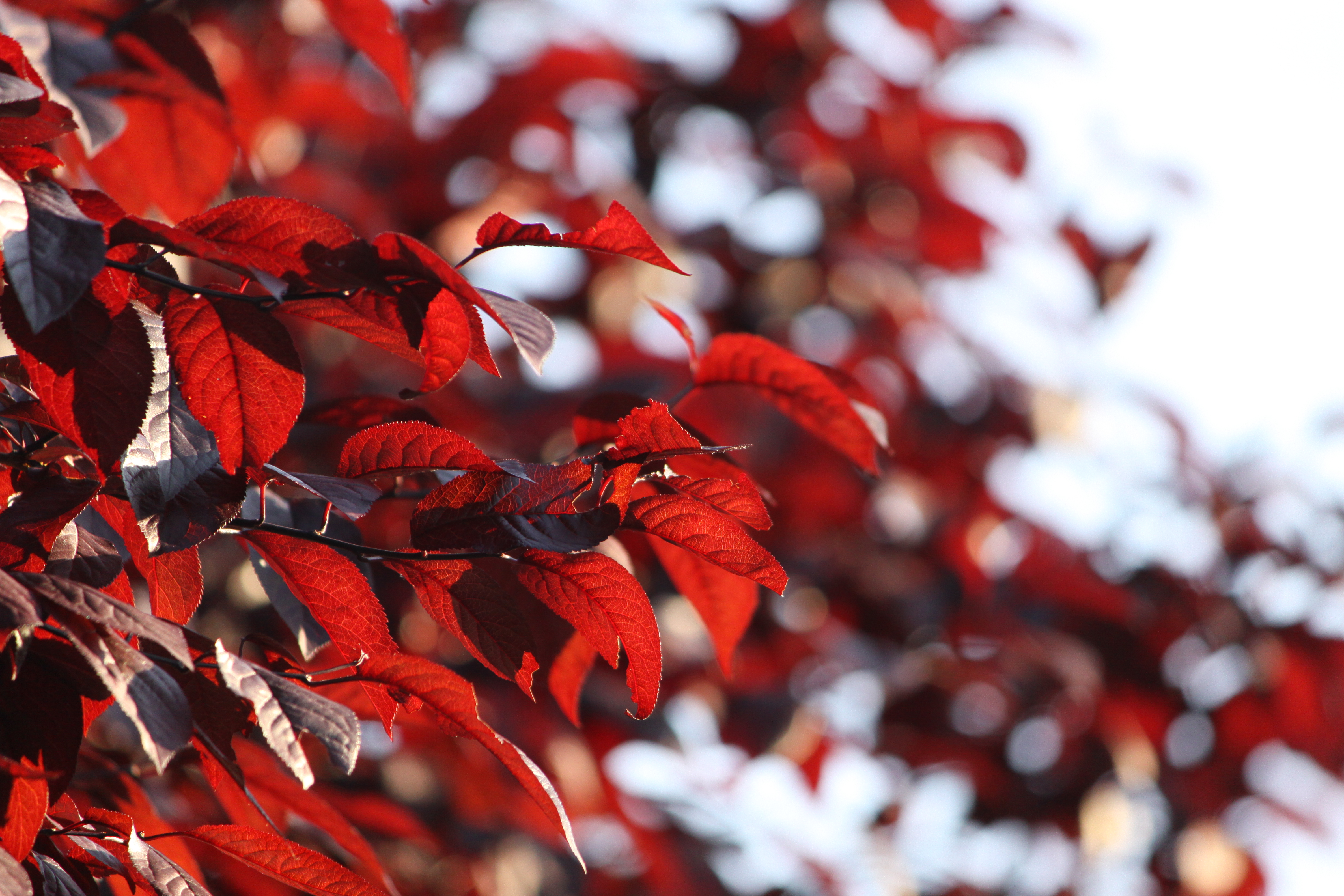 Fall rituals: finding your pieces of comfort